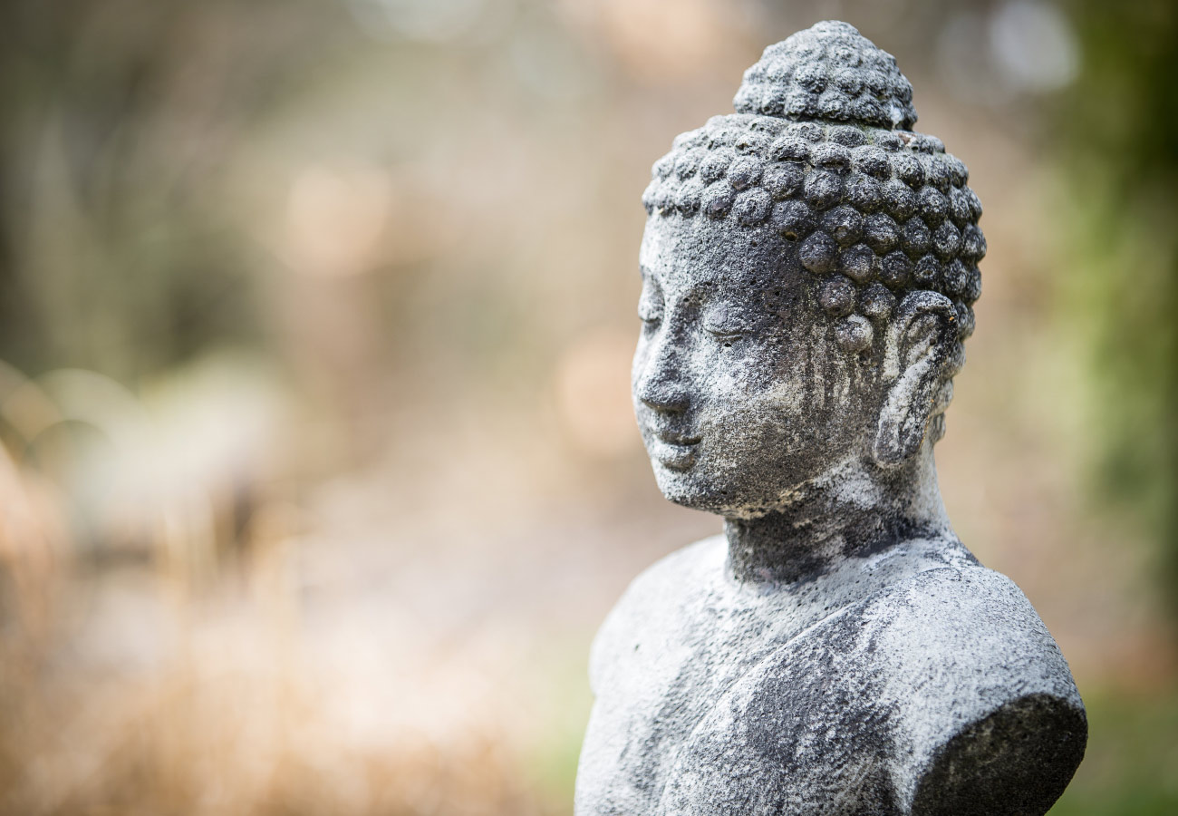 About Us - Learn More About Our Company